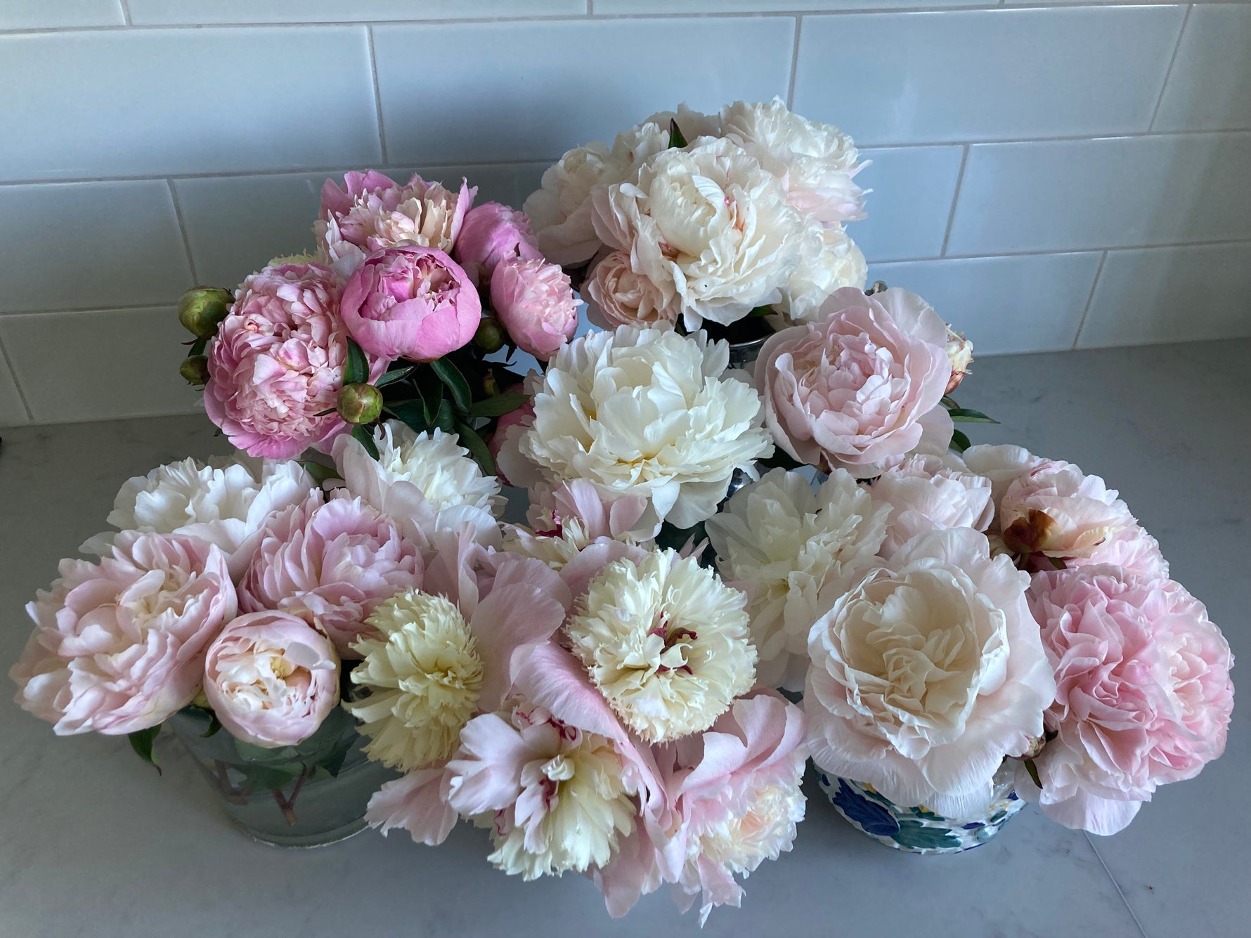 Heartfelt Peonies